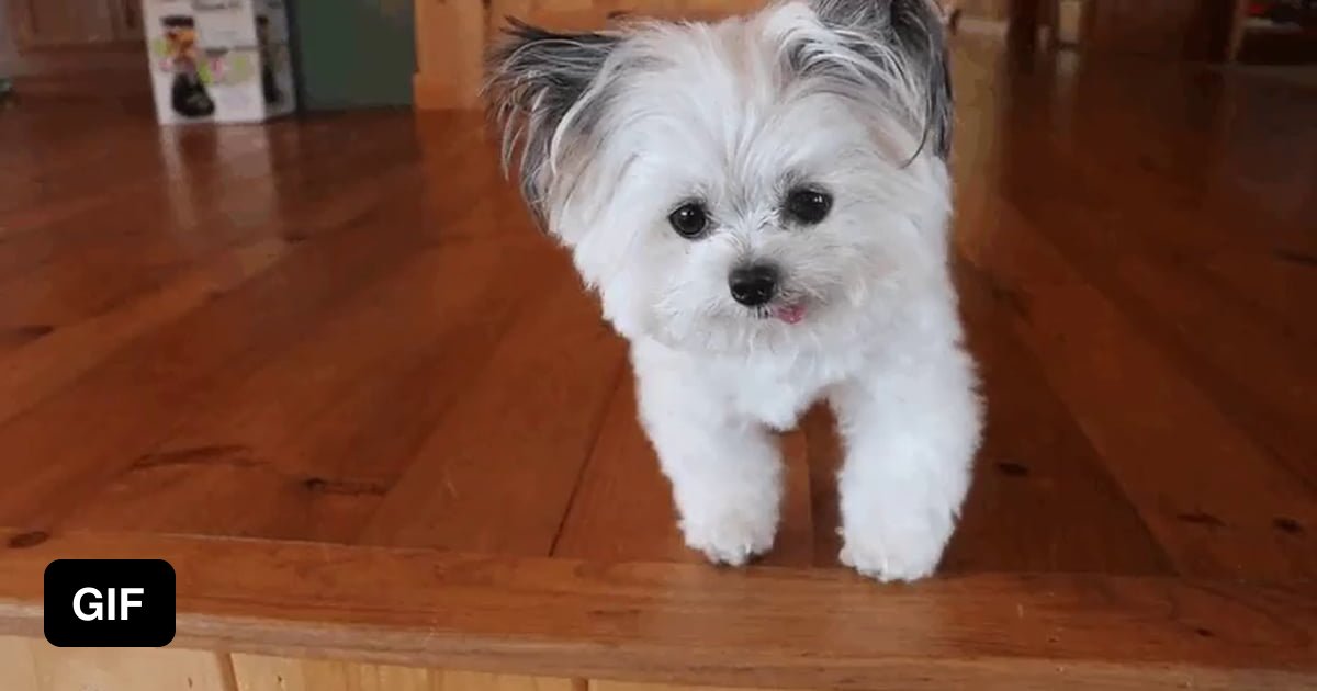 Cheese makes him derp - 9GAG