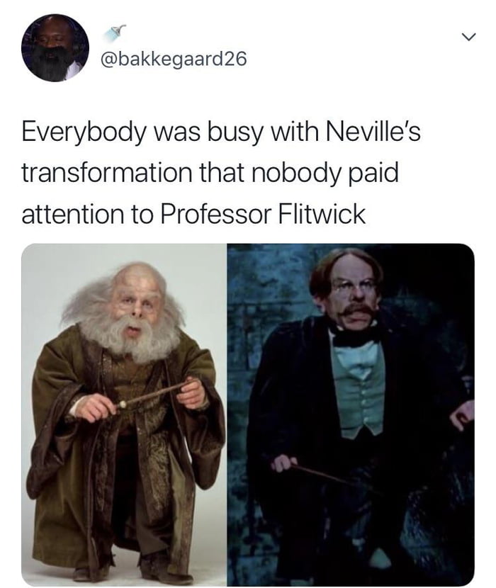 Flitwick with the glow up of the century - 9GAG