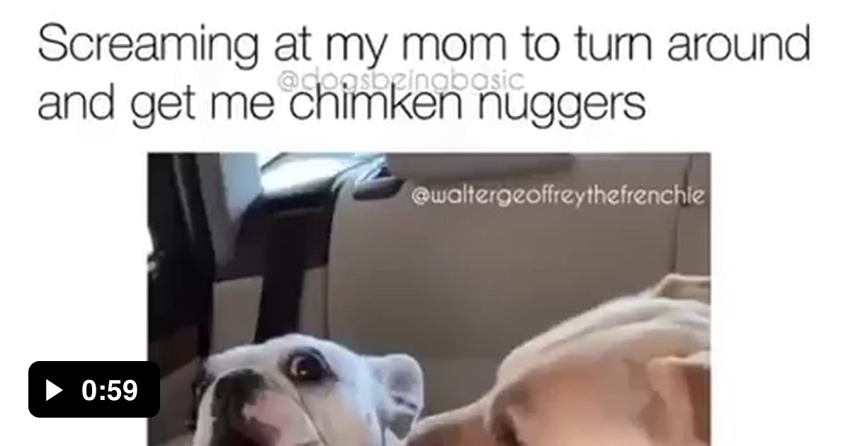 Angry doggo - 9GAG
