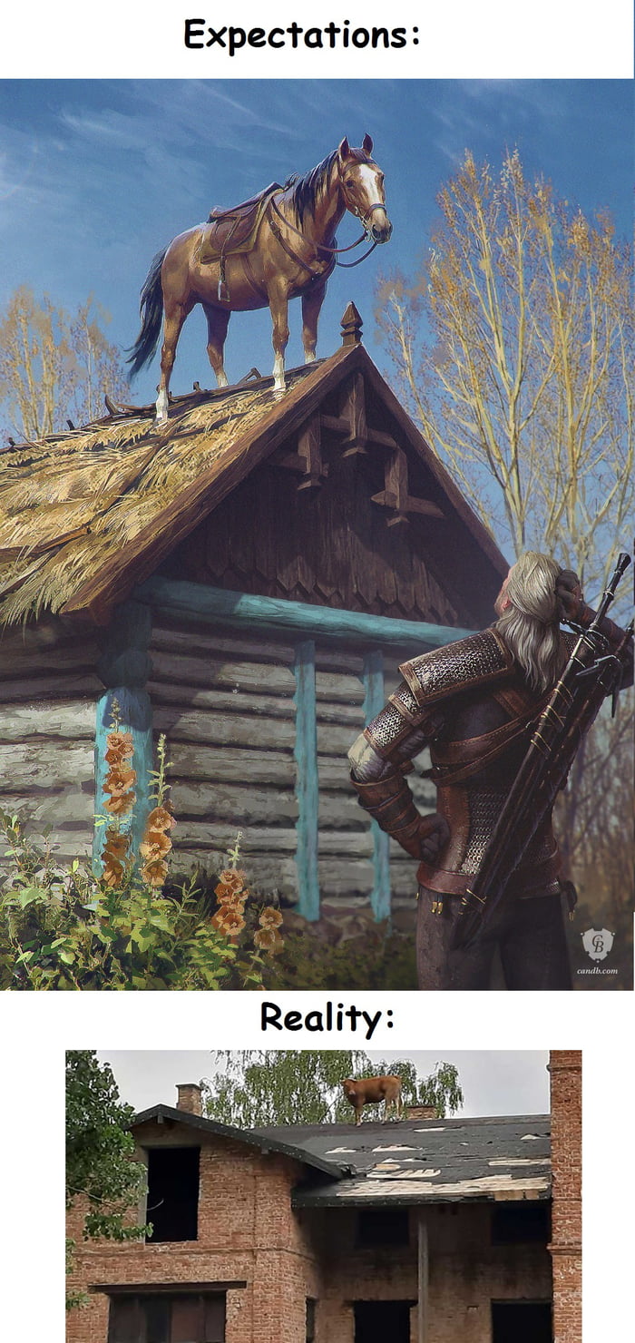 So a cow decided that Roach is her hero and went onto a roof in Poland - 9GAG