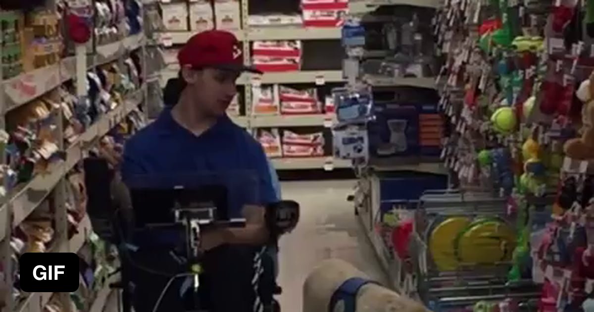 Service dog picks his own birthday present - 9GAG