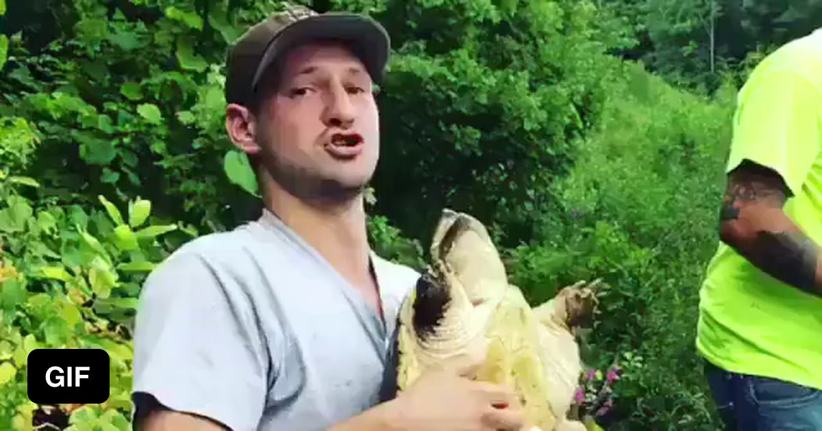 Who's a good snapping turtle? - 9GAG