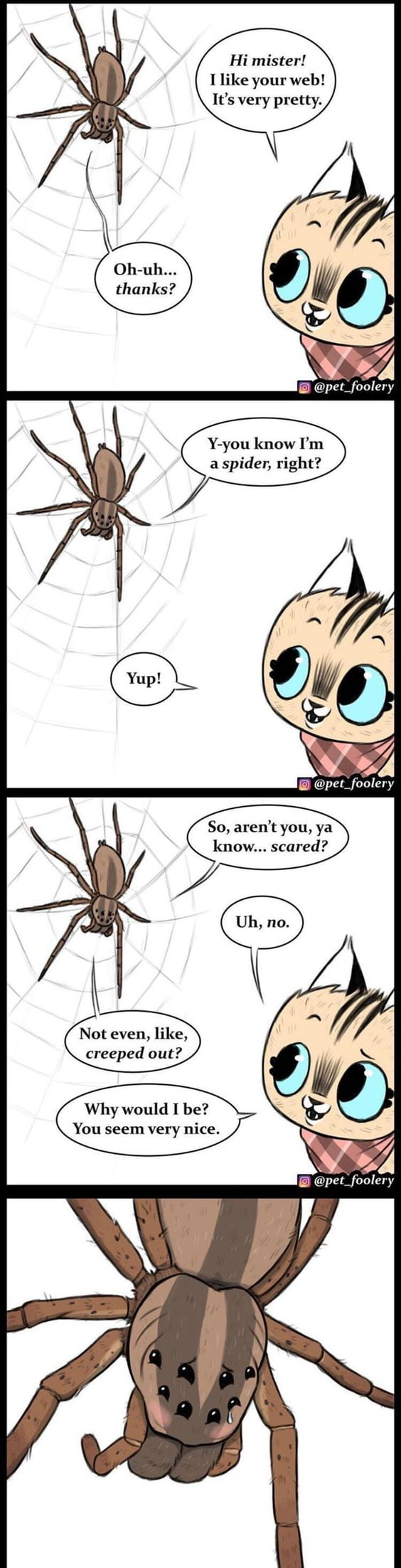 Everyone deserves compassion, even spiders - 9GAG