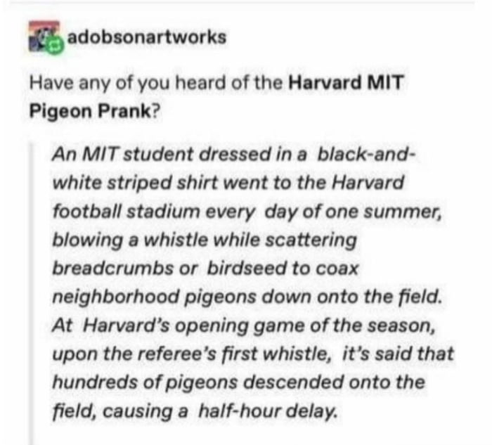 What an absolute legend - 9GAG