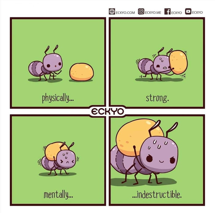 Strong ant, strong will power - 9GAG