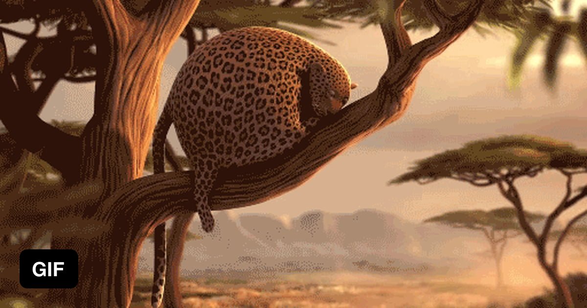 What if animals were round! - 9GAG