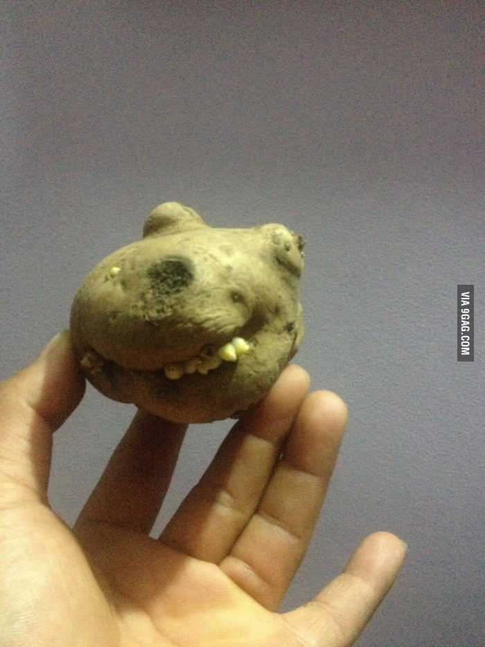 Potato with teeth lol - 9GAG