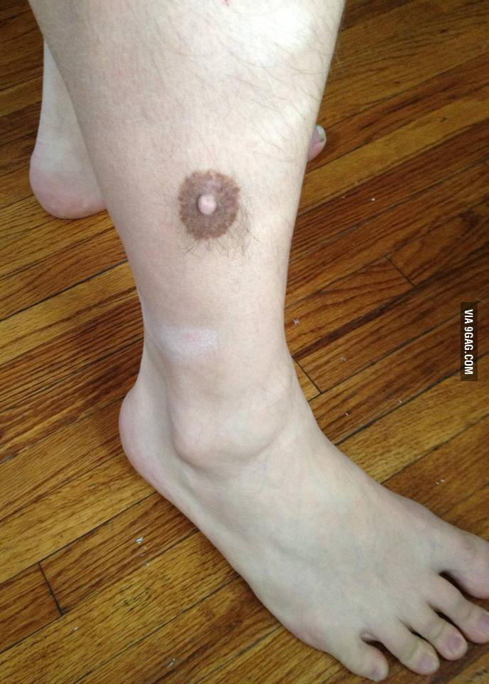 Got something on your leg - 9GAG