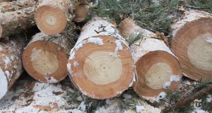 Exposure to radiation from the 1986 Chernobyl accident had possibly a ...