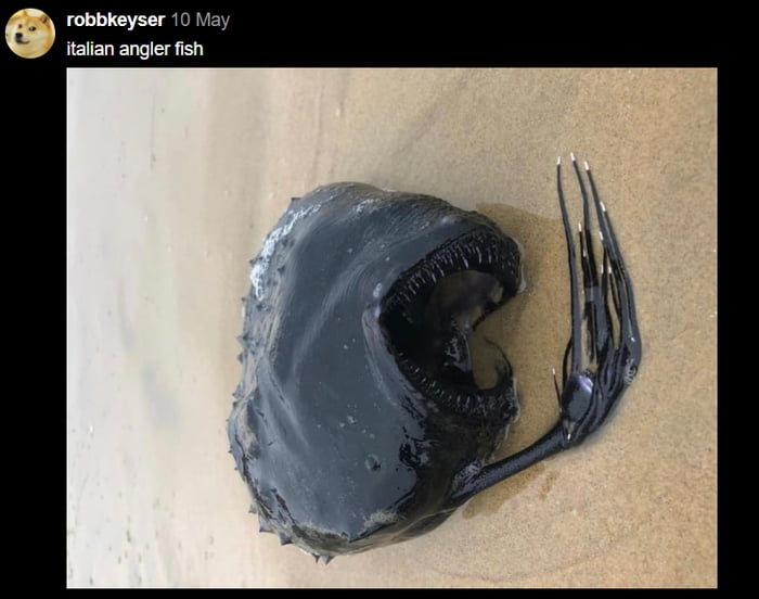 Weekly Top Comments - 9GAG