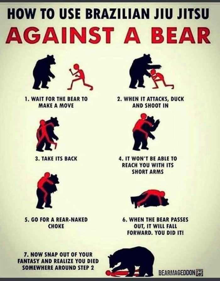 The bear necessities... - 9GAG