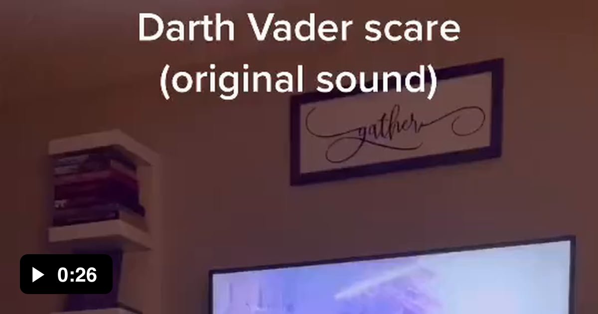 Doggo is afraid of Darth Vader - 9GAG