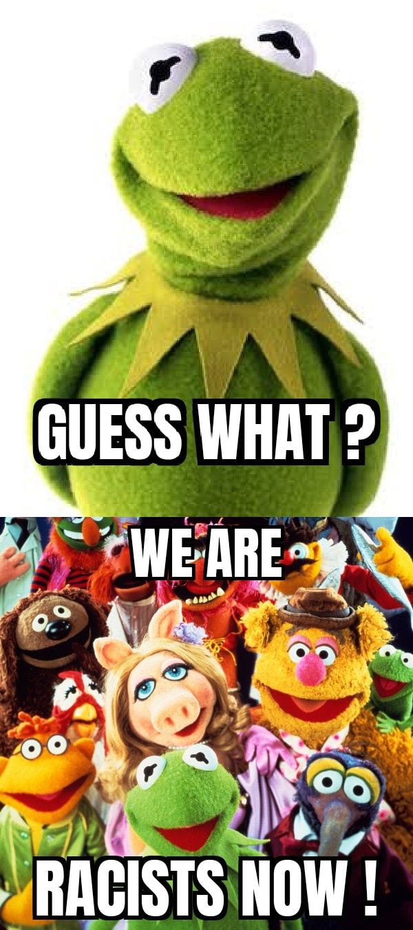 Now Muppets are problematic - 9GAG