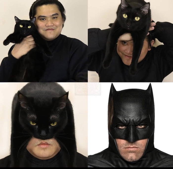 Catman! - 9GAG