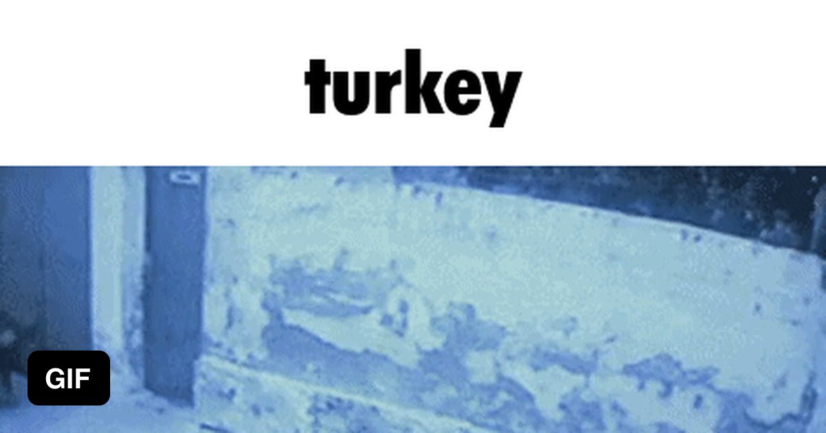 Turkey - 9GAG