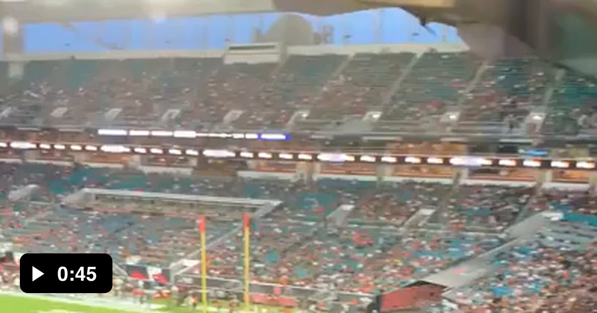 Miami fans save the falling cat at Hard Rock Stadium! - 9GAG