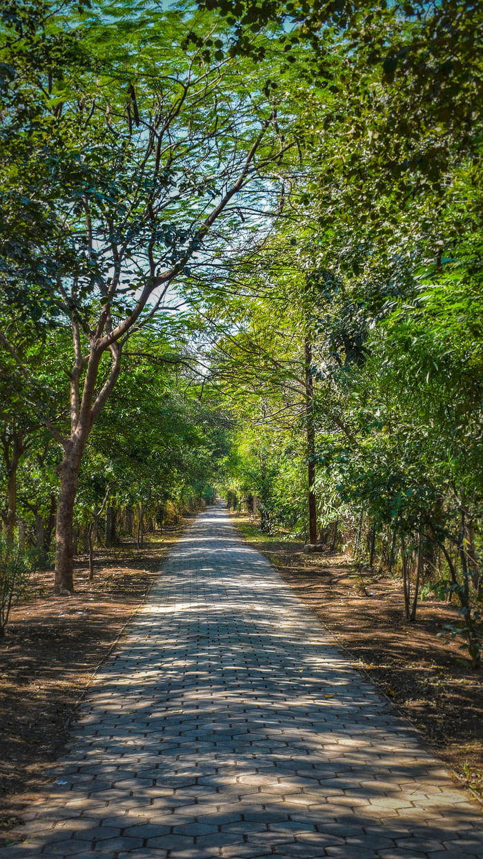 Sirpur lake, Indore, India - 9GAG