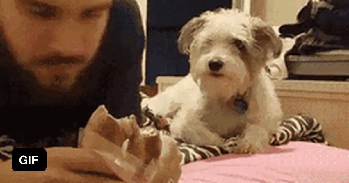 Im not looking . . . - 9GAG