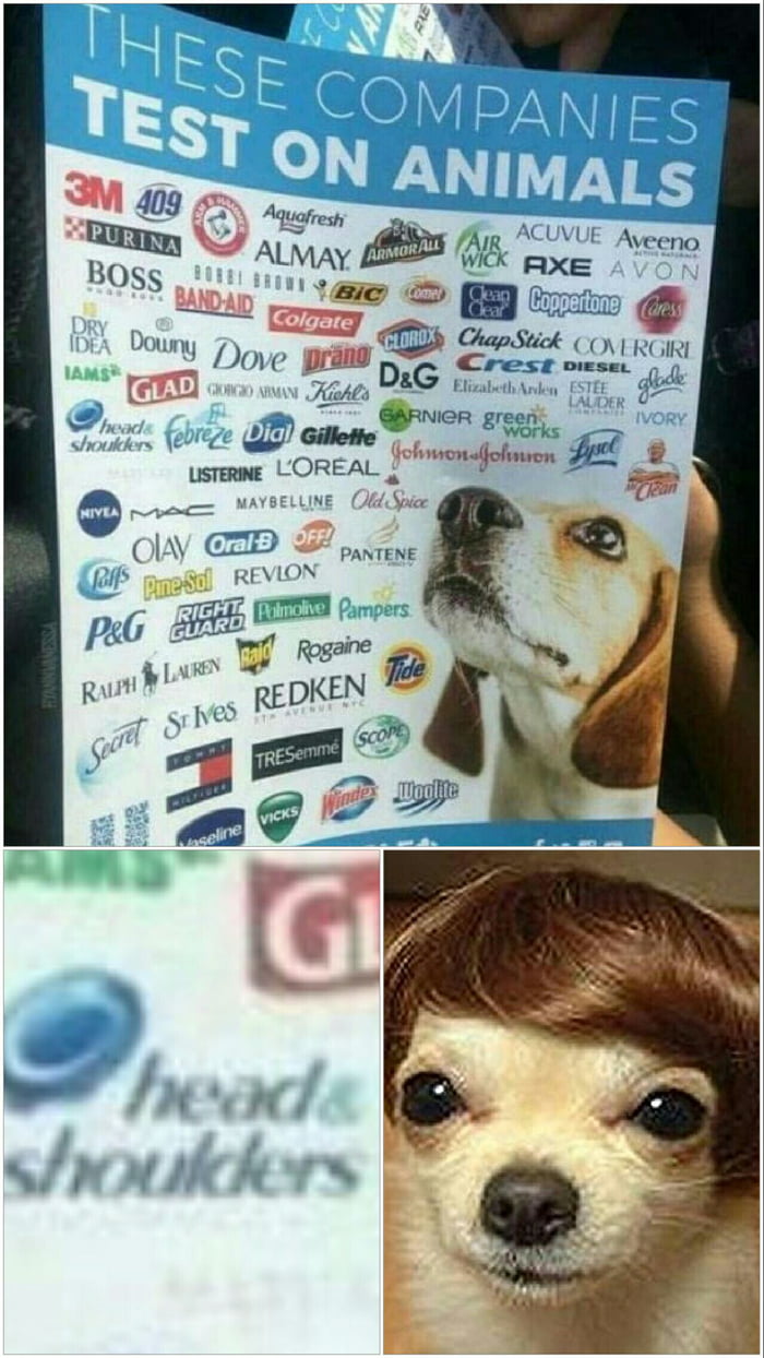 I bet they just picked random companies - 9GAG