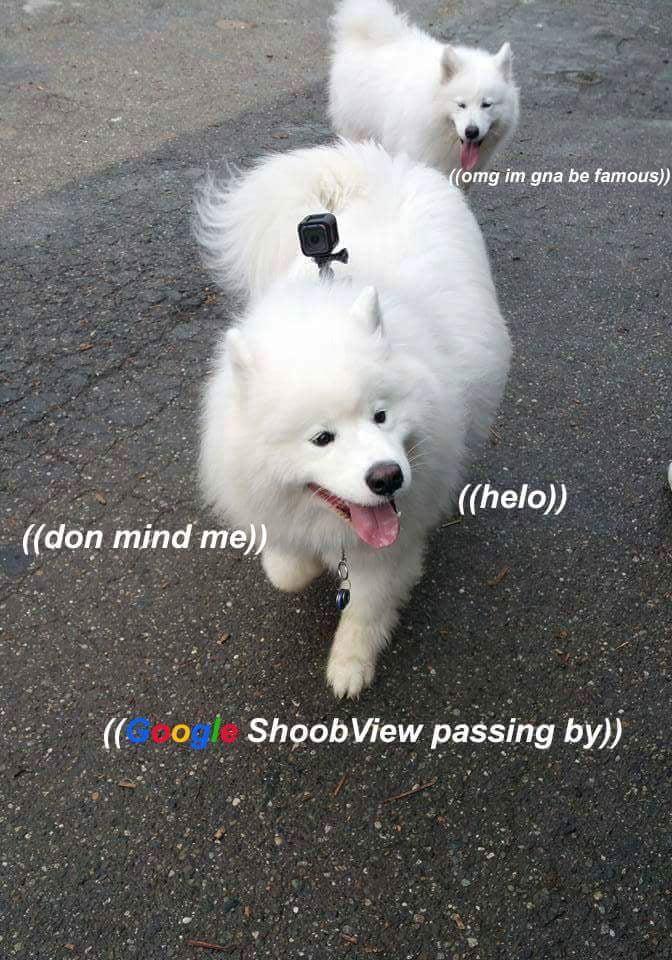 These Radiohead fans have been around for quite some time... - 9GAG