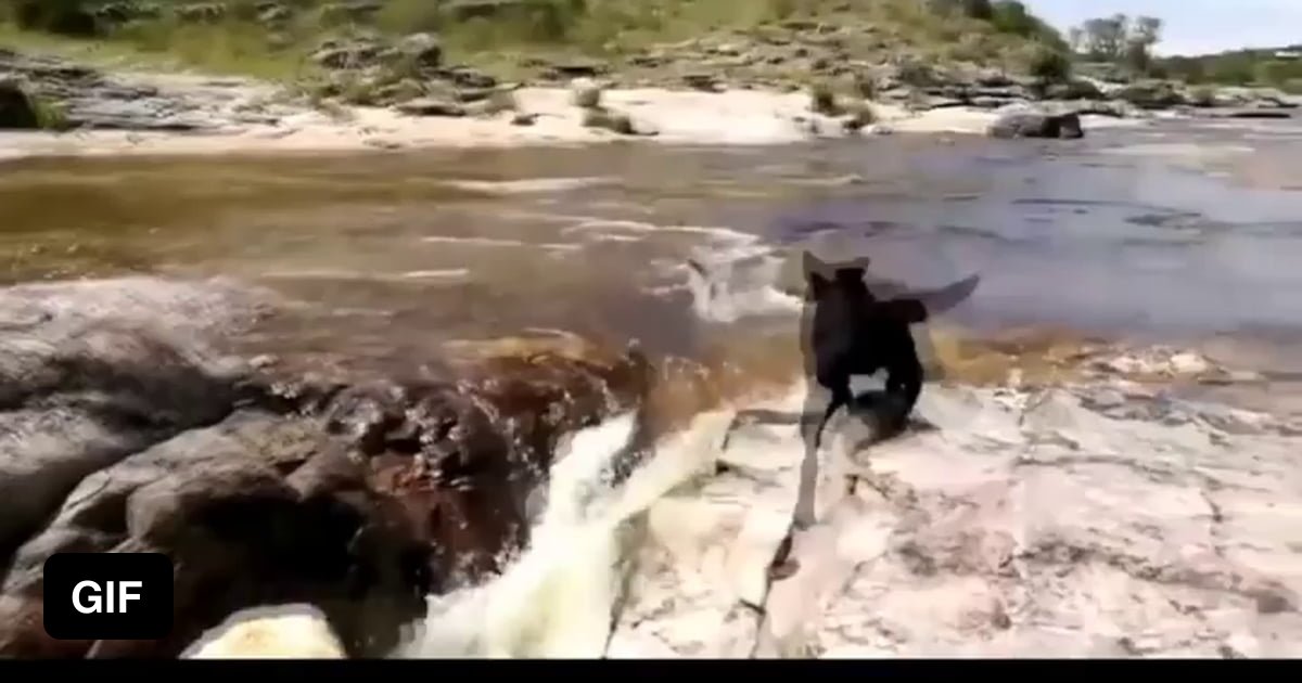 Gotcha covered, Pal - 9GAG