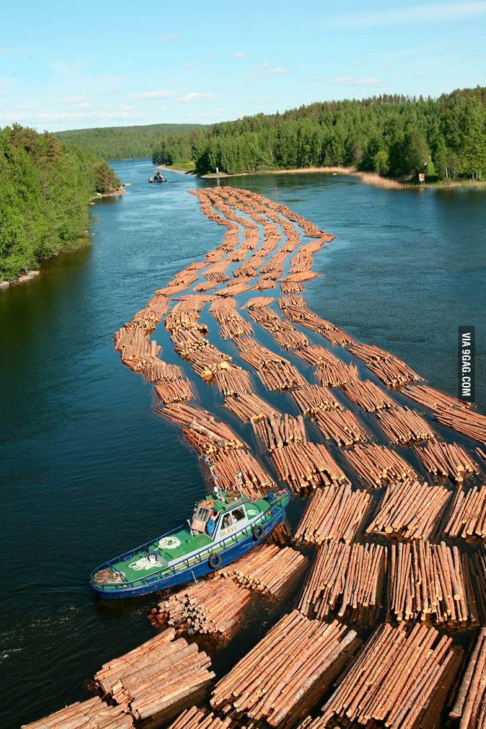 Timber rafting in Finland - 9GAG