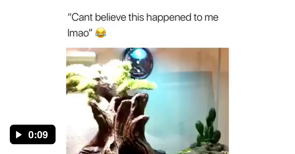 They're evolving - 9GAG