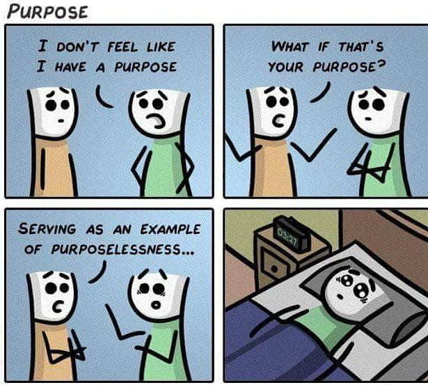 May the purpose of purposelessness be with you - 9GAG