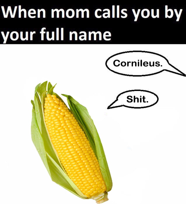 This meme is so corny. - 9GAG