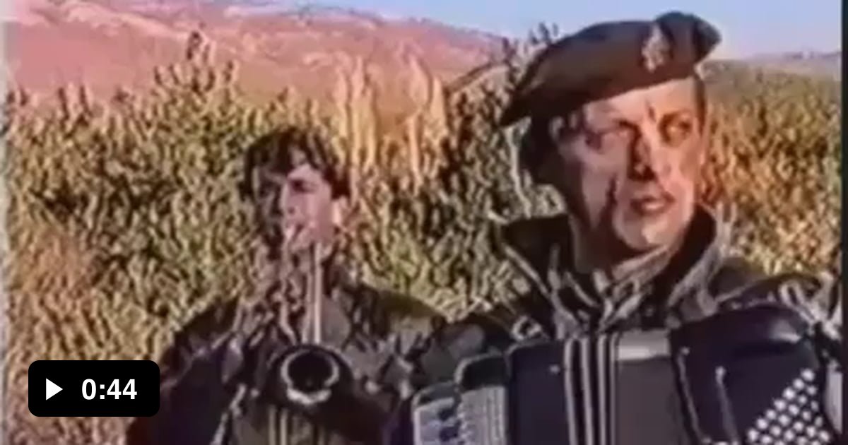 *knock knock* kebab removal service - 9GAG