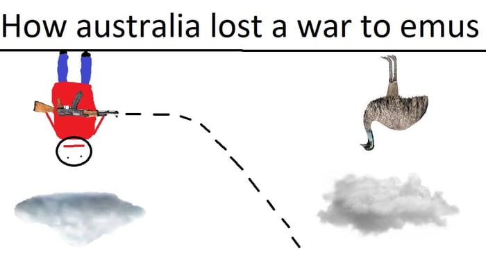 You lost a war against some birds - 9GAG