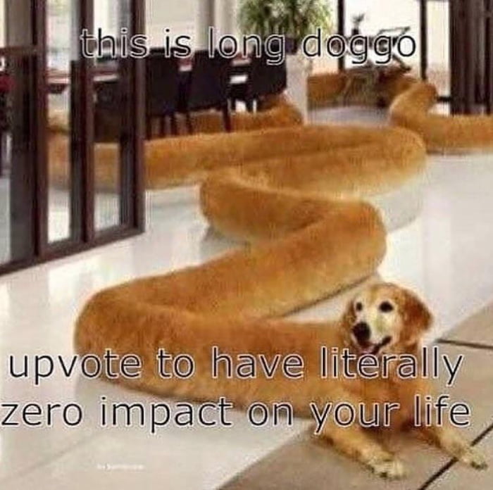 Rare long pupper - 9GAG