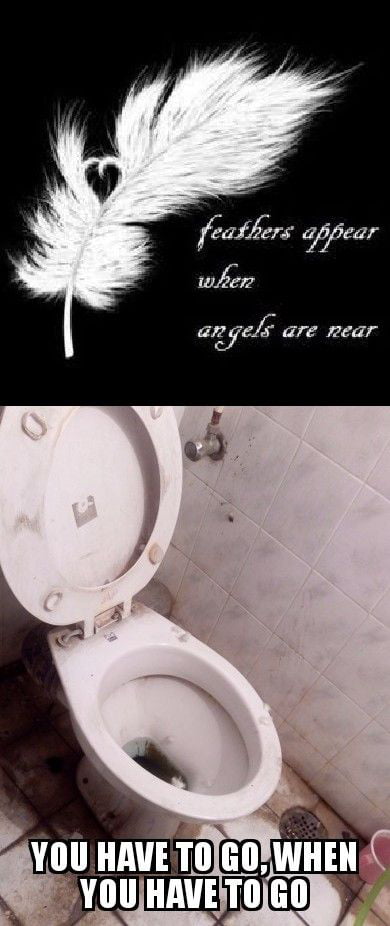 When angles shit.. - 9GAG