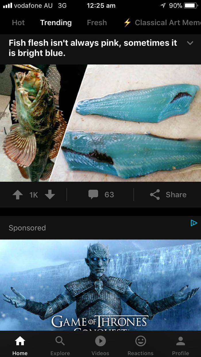 Who needs an ice dragon when you’ve got an ice fish. - 9GAG