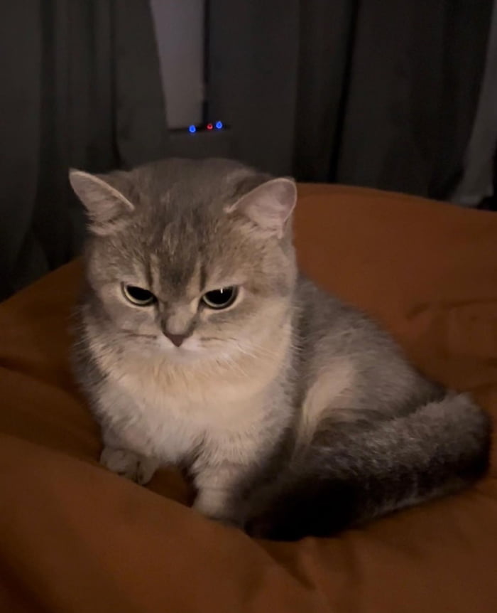 We are grumpy today - 9GAG