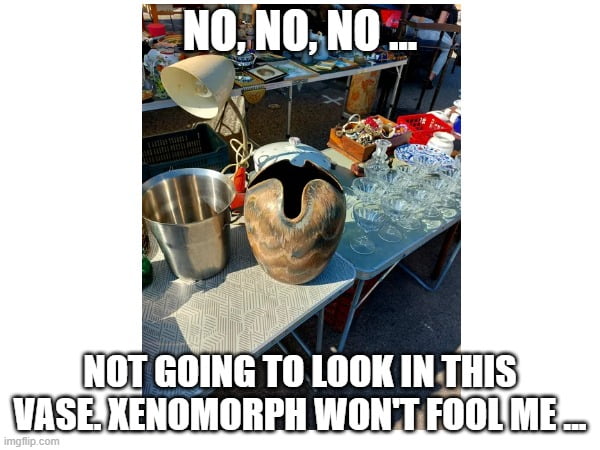 "Fool me once, shame on — shame on you. Fool me, you can't get fooled again" - 9GAG