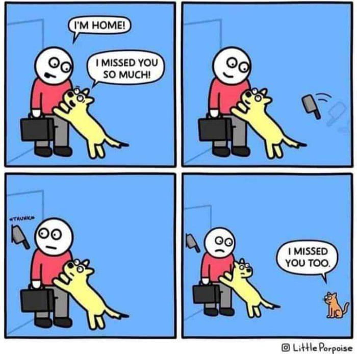 "With every bullet so far" - 9GAG