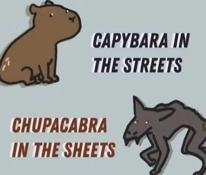 A real feral untamable animal, unfamiliar with human touch. - 9GAG