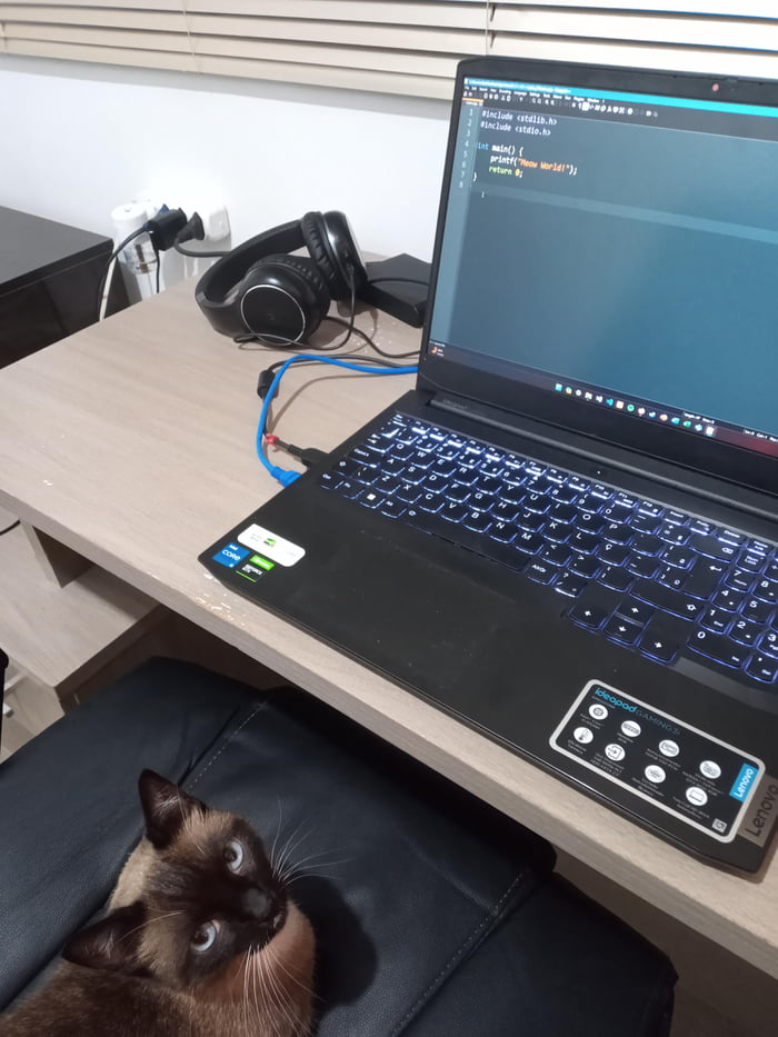 Hard working software developer - 9GAG