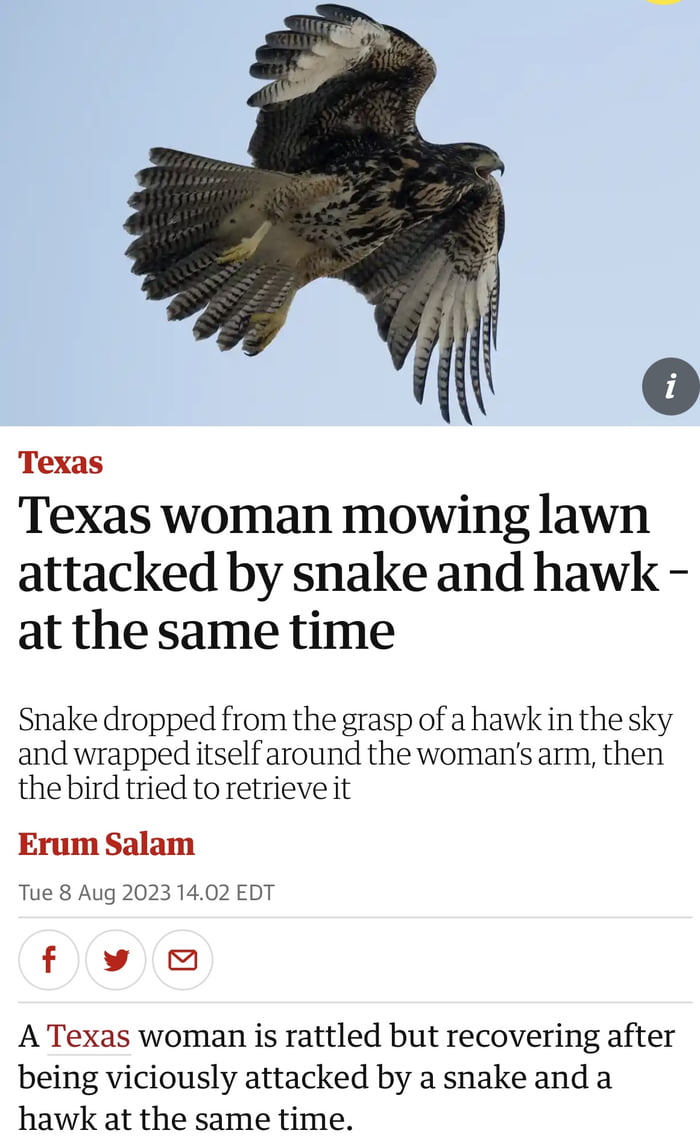 Australia, do you accept this challenge? - 9GAG