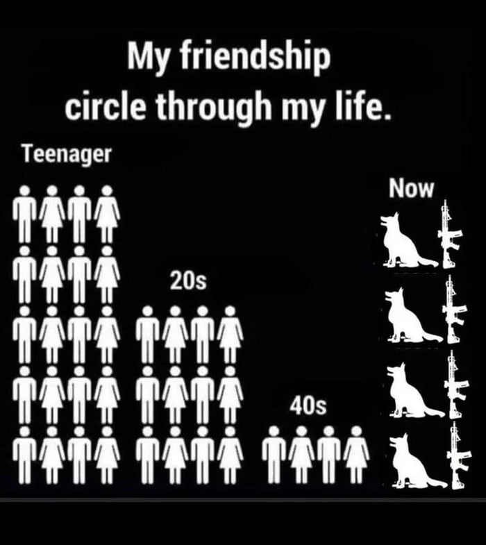 Next Level: Crazy Cat Lady - 9GAG