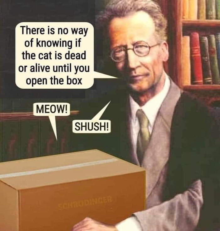 You must first observe the meme to k ow if it's shit or not - 9GAG