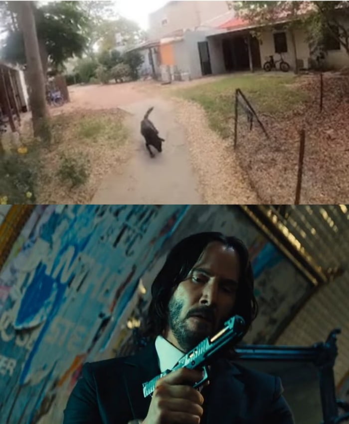 You wanted John Wick? YOU GOT IT! - 9GAG