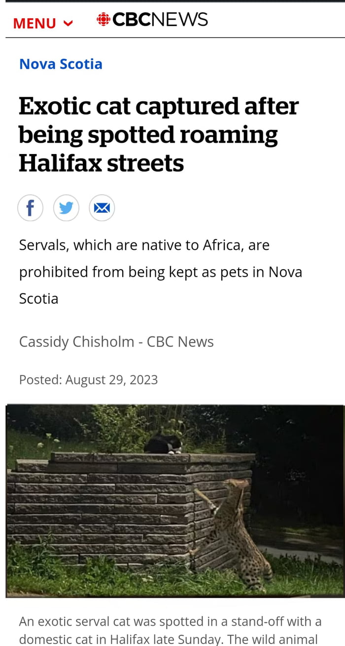 ITS OVER ANAKAT I HAS THE HIGH GROUND - 9GAG