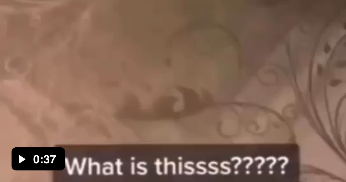 EMF responsible spider startle? - 9GAG