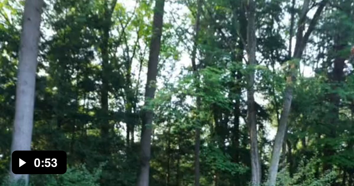 I build unnecessary things so I decided to built the Digit Diverter for ...