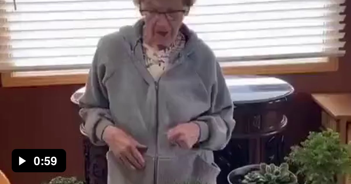 Grandma shows her succulents - 9GAG