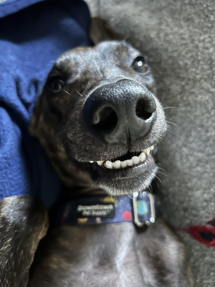 You’re never fully dressed without a (slightly unnerving) smile - 9GAG