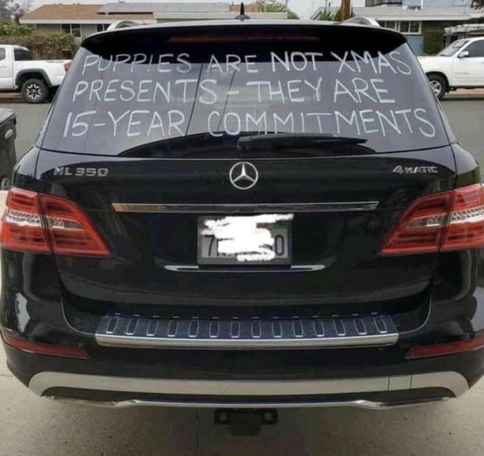 The 15 years commitment. - 9GAG