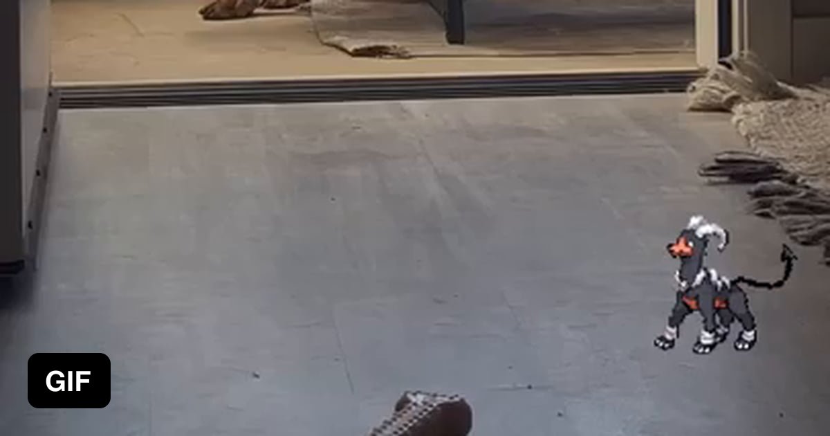 Houndoom costume🐾 - 9GAG